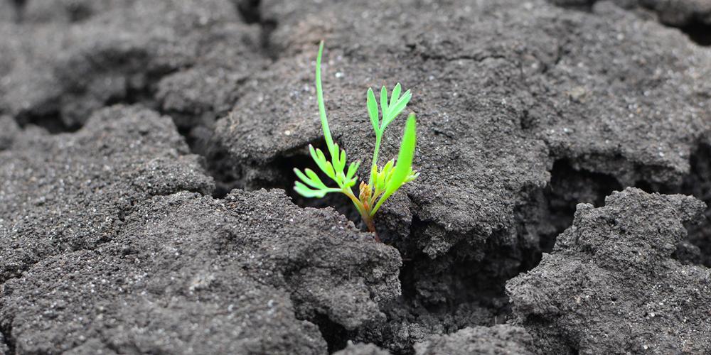 The Purpose of Heart! - Toward The Mark #69